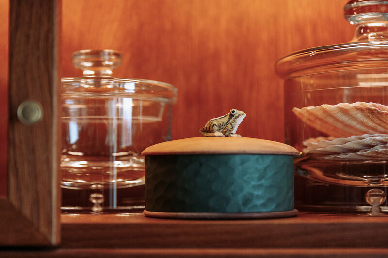 Wooden Frog Box – Hall & Wares